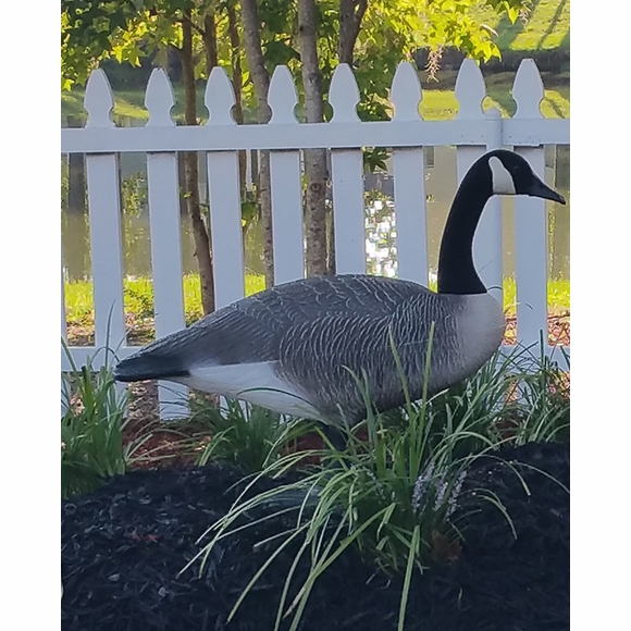Realistic Standing Goose Garden Statue
