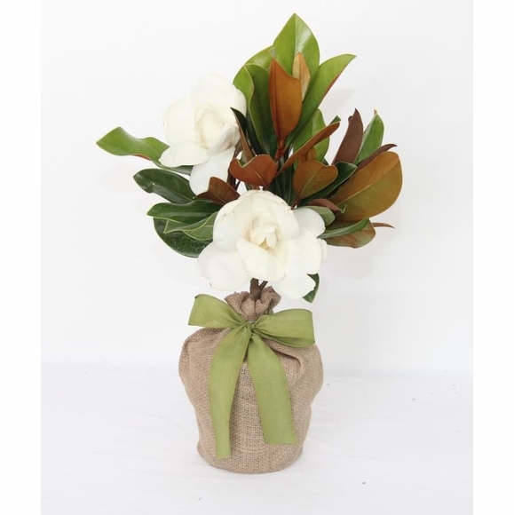 Seeds of Life Sympathy Gift Memorial Tree