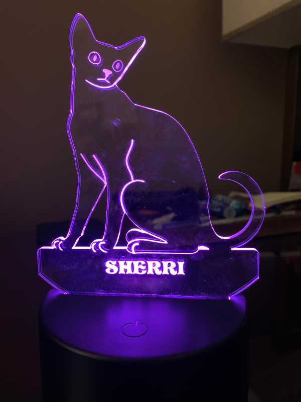 Personalized Cat Night Light or Table Decoration