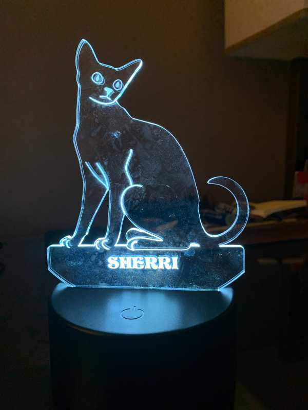 Personalized Cat Night Light or Table Decoration