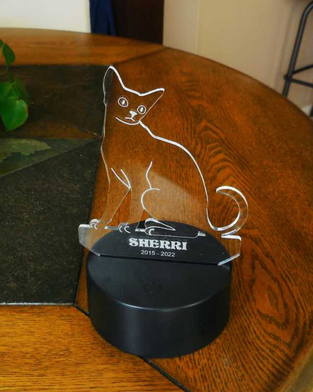 Personalized Cat Night Light or Table Decoration