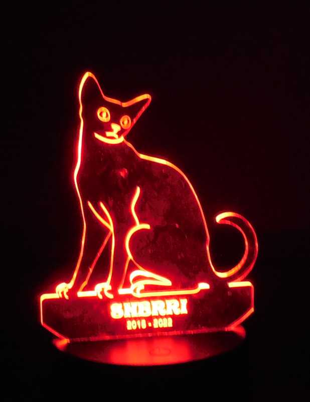 Personalized Cat Night Light or Table Decoration