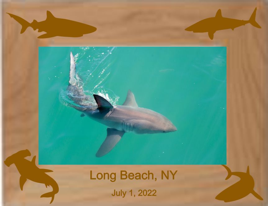 Shark Personalized Picture Frame