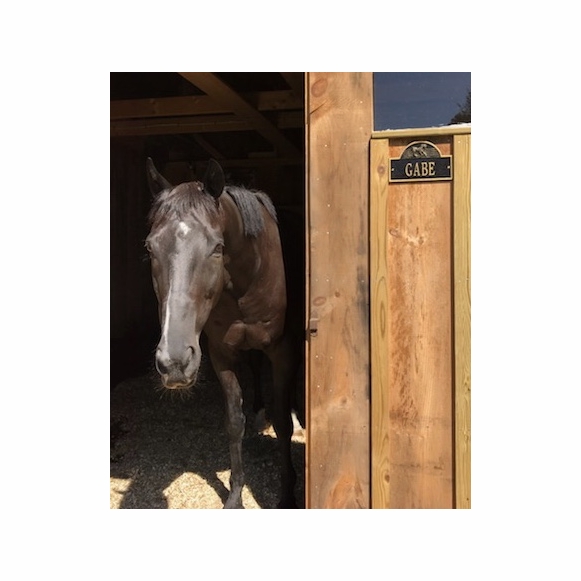 Stall Plate - Personalized Stall Marker, Name Sign, or Room Sign With ...