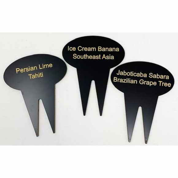 Tree Tag - Custom Engraved - For Memorial, Dedication, Recognition ...