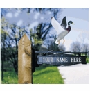 Two Sided Address Signs