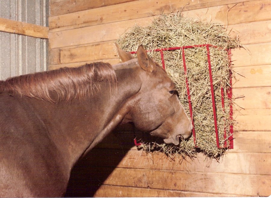 Wall Hay Rack