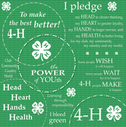 4-H Scrapbook Papers & stickers (It Takes Two) (17_choices)