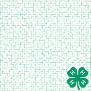 4-H Scrapbook Papers & stickers (It Takes Two) (17_choices)