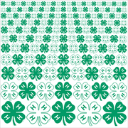 4-H Scrapbook Papers & stickers (It Takes Two) (17_choices)