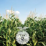 FFA (Future Farmers of America) scrapbook papers & stickers (6_choices)