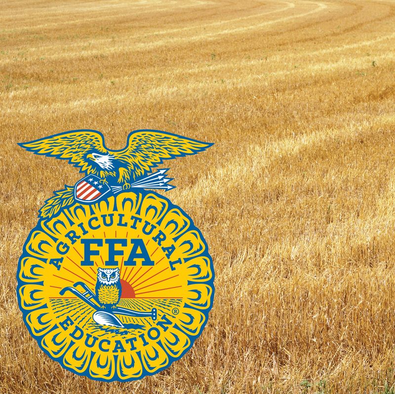 Ffa Scrapbook Paper