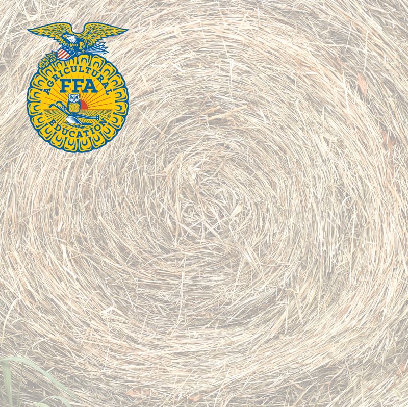 Ffa Scrapbook Paper