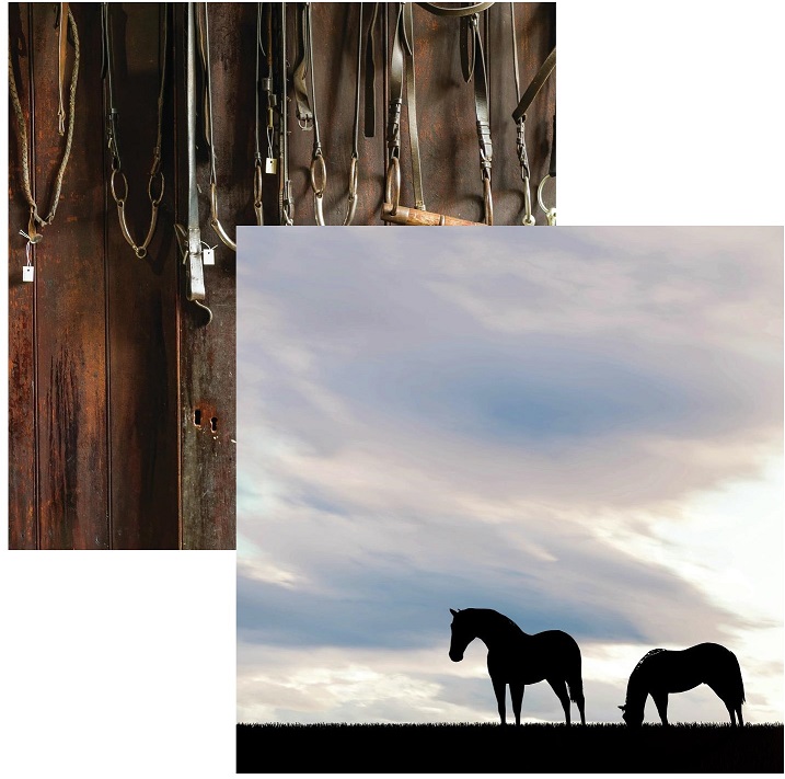 Sports, Equestrian & Horse Riding, scrapbook papers (11_choices)