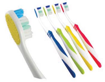 Plak Smacker Toothbrush for Dental Hygiene