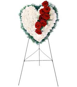 Sympathy Floral Delivery Sparkman Hillcrest Funeral Home Dallas TX