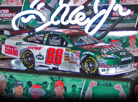 DALE EARNHARDT JR 2008 MICHIGAN RACED VERSION AMP 1/24 ACTION