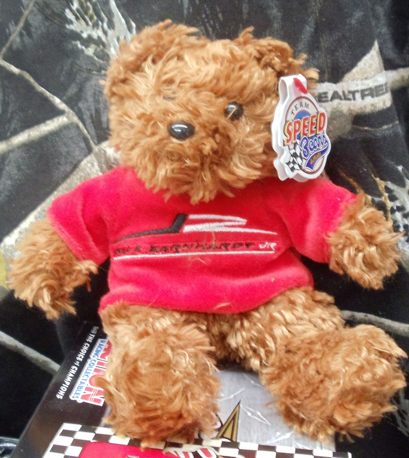 DALE EARNHARDT JR BEAR 8" TALL