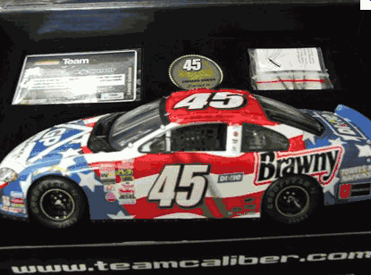 KYLE PETTY 2004 GEORGIA PACIFIC/ BRAWNY 1/24 TEAM CALIBER OWNER'S