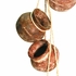 Medium Clay Hanging Pots on Rope - 5 Inch Pots - Set of 2