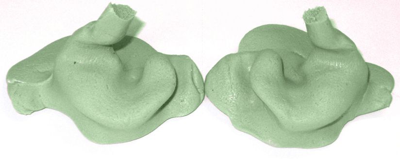 Got Ears?® DIY Ear Impression Kit for Custom Products (Makes 4 Full Ear ...