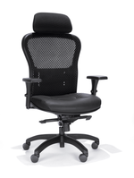 RFM Seating #162Q-68 | Best Ergonomic Office Chair | Executive Mesh ...