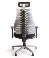 Verte Chair | Best Ergonomic Chair | Lumbar Support Chair | Near Me