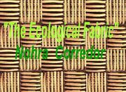 ECOLOGICAL ART/COMBINED ART