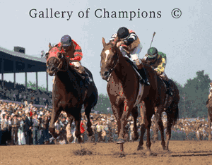 Affirmed Pictures - Art Prints of Race Horse Affirmed