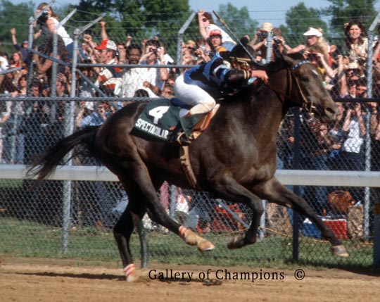 1979 Kentucky Derby Winner Spectacular Bid - Ronnie Franklin Jockey