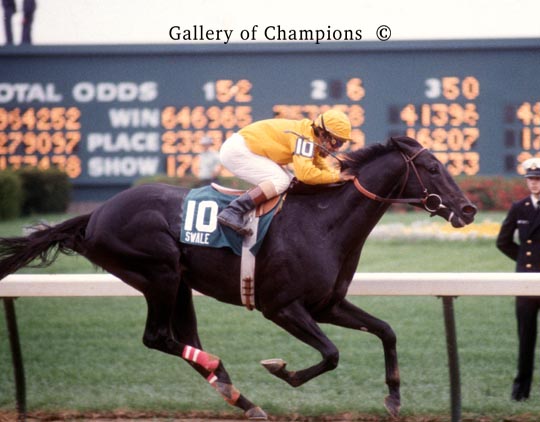 1984 Kentucky Derby Winning Race Horse Swale