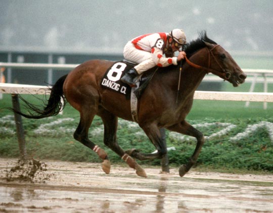1986 Belmont Stakes Winning Race Horse Danzig Connection