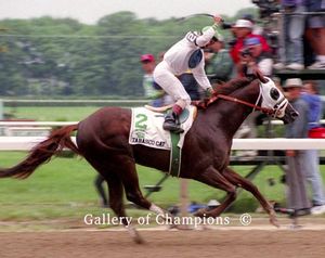 Belmont Stakes Pictures - Art Prints of the Belmont Stakes
