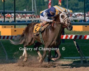 Preakness Pictures - Art Prints of the Preakness Stakes