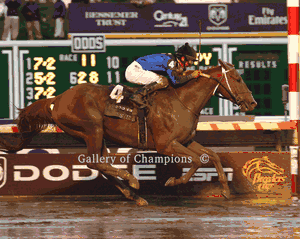 Curlin Pictures and Art Prints - 2007 Horse of the Year