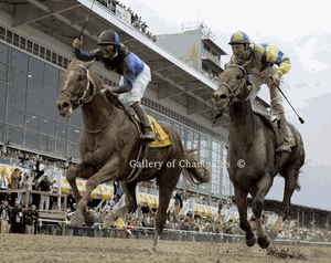 Curlin Pictures and Art Prints - 2007 Horse of the Year