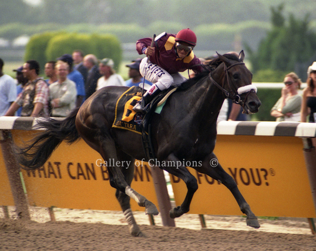 2008 Belmont Stakes Winning Race Horse Da' Tara