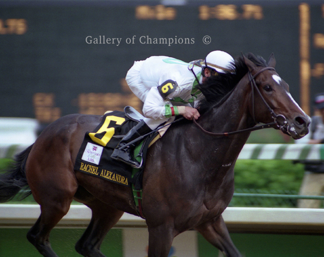 2009 Kentucky Oaks Winner Rachel Alexandra #1
