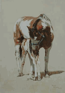 Adeline Halvorson Art Prints of Horses