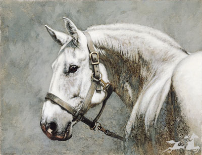 Adeline Halvorson - Loyal Partner - Limited Edition