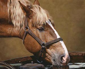 Adeline Halvorson Art Prints of Horses