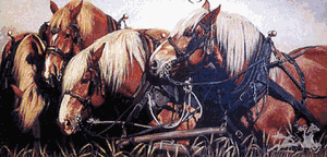 Adeline Halvorson Art Prints of Horses