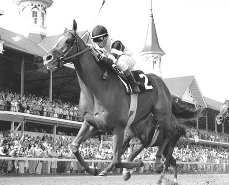 Affirmed Photo Winning Kentucky Derby - Twin Spires