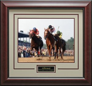 Affirmed Pictures - Art Prints of Race Horse Affirmed
