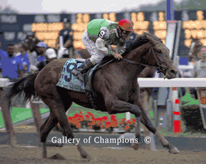 Afleet Alex Pictures - Art Prints of the Race Horse Afleet Alex