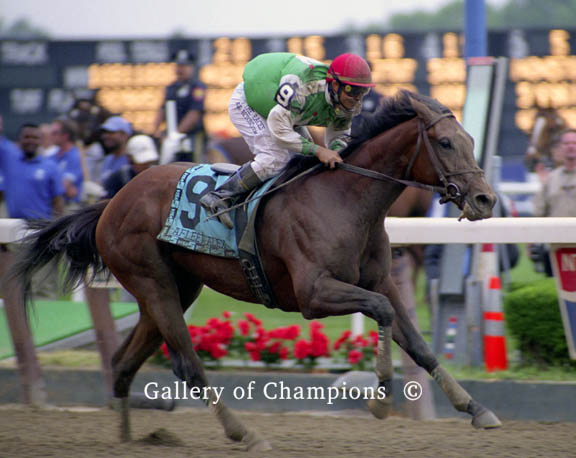 Afleet Alex in the 2005 Belmont Stakes