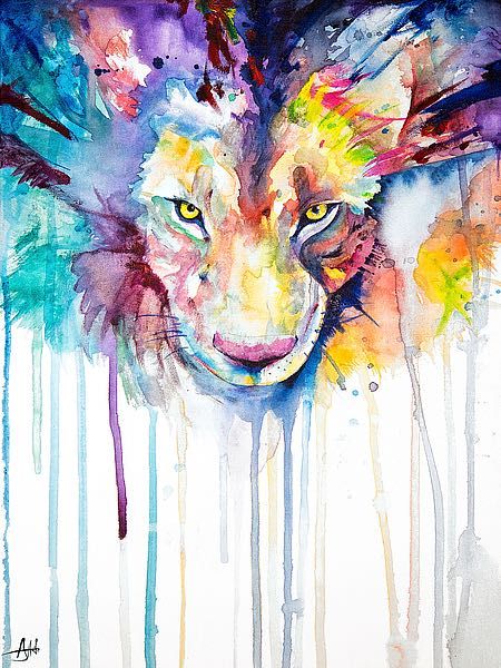 Marc Allante - Cepheus - Lion Print