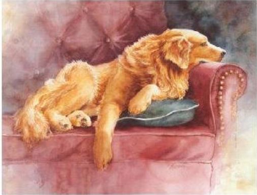 Barbara Shipman - Southern Comfort UNAVAILABLE