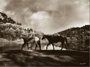 Barry Hart Horse and Western Art Prints