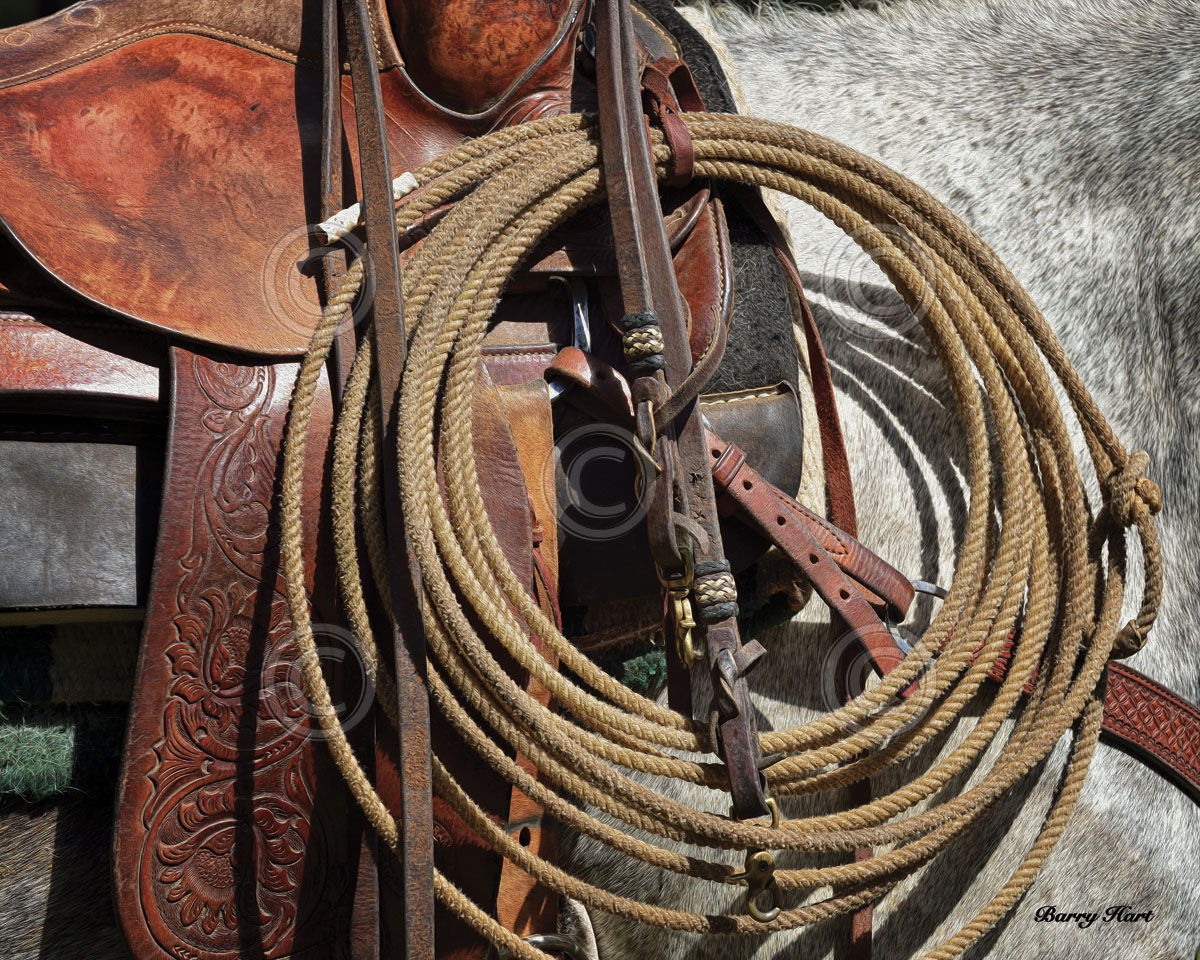 Barry Hart - Happy Trails - Color Western Print - Canvas Options